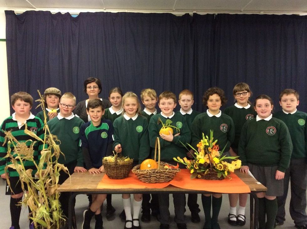 Harvest Assembly