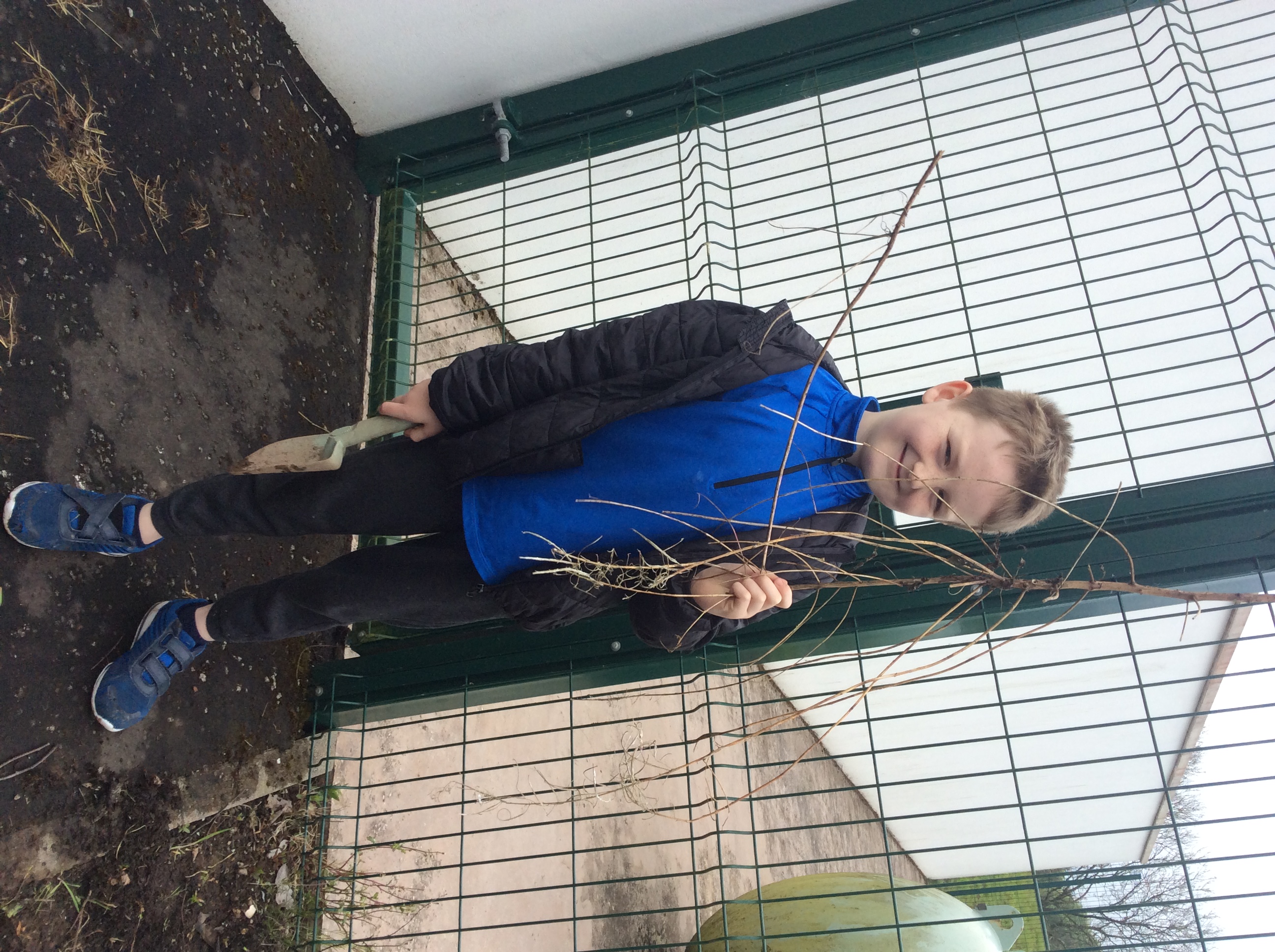 Learning with the living world